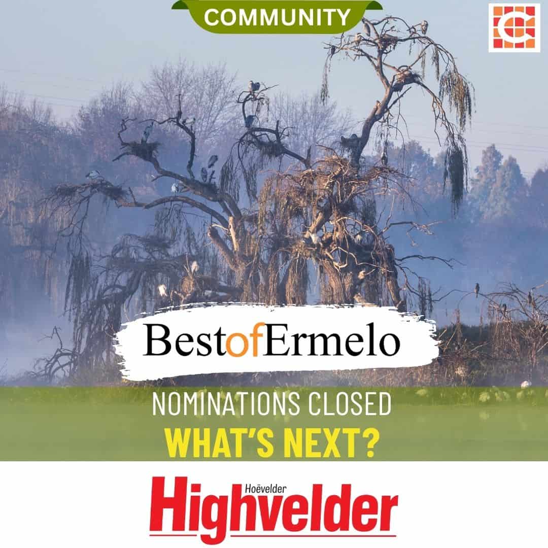 Nominations close for Highvelder’s Best of Ermelo 2026 | Highvelder News