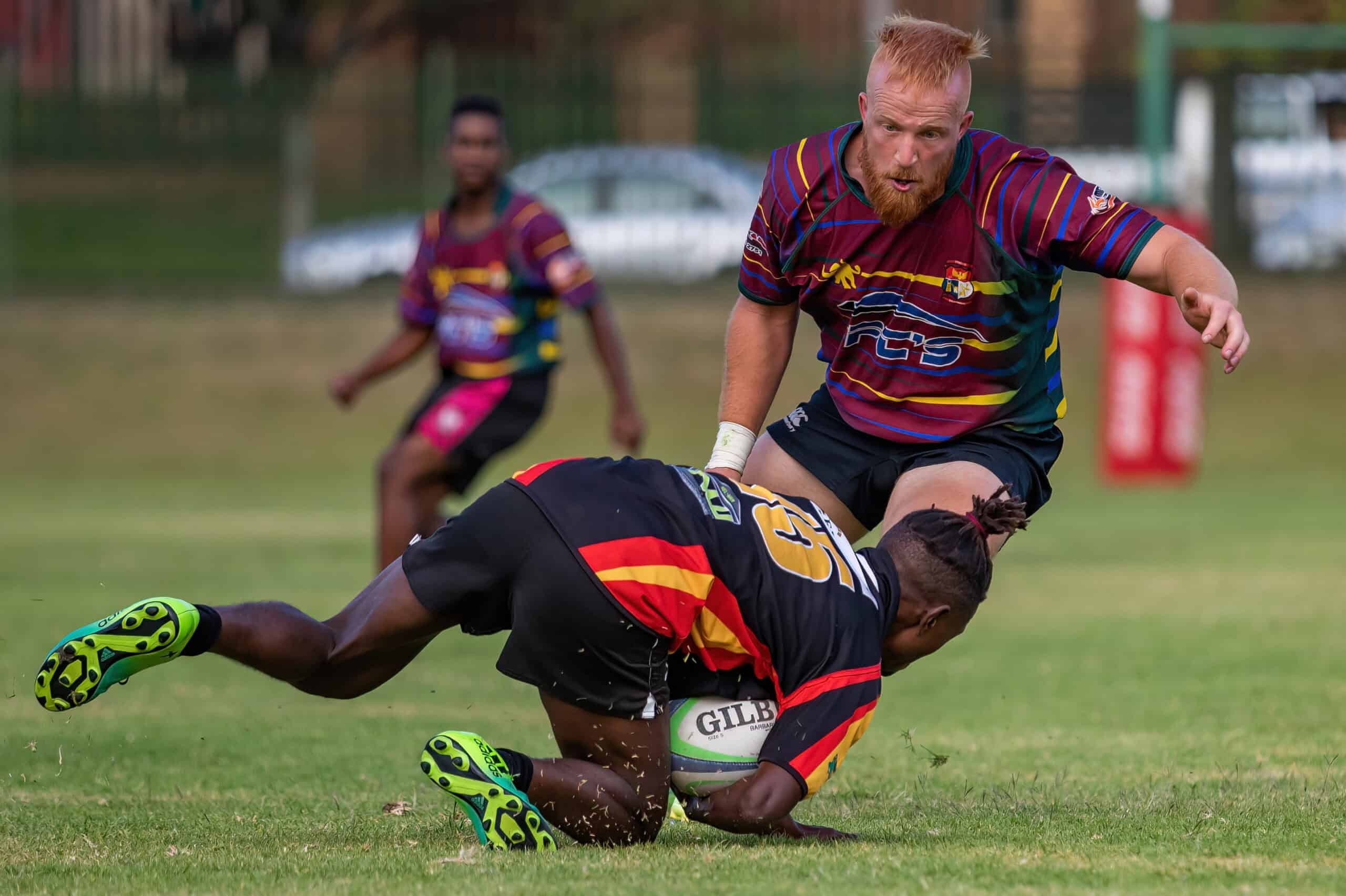 Ermelo Rugby is back in the game | Highvelder News