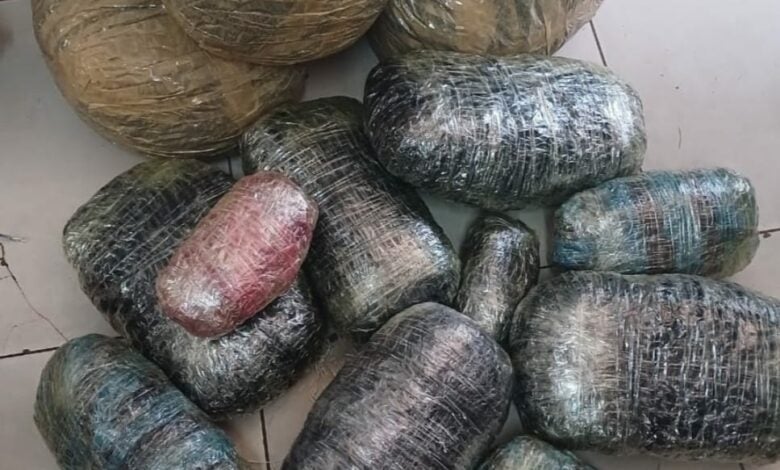 Piet Retief SAPS confiscates 25kg of dagga during police operation ...