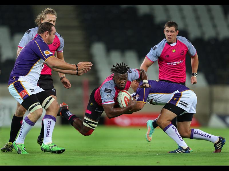 Meet the Pumas | Ridge Times