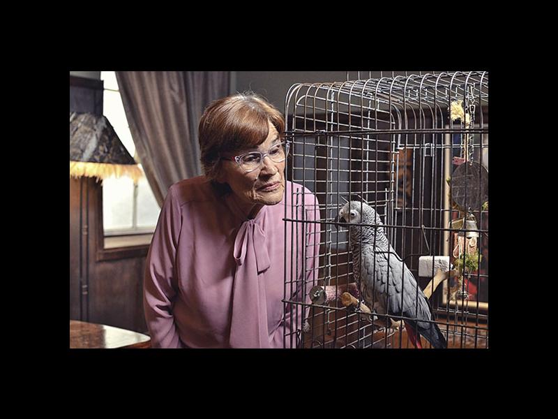 Afrikaanse riller-komedie draai nou in teaters | Ridge Times