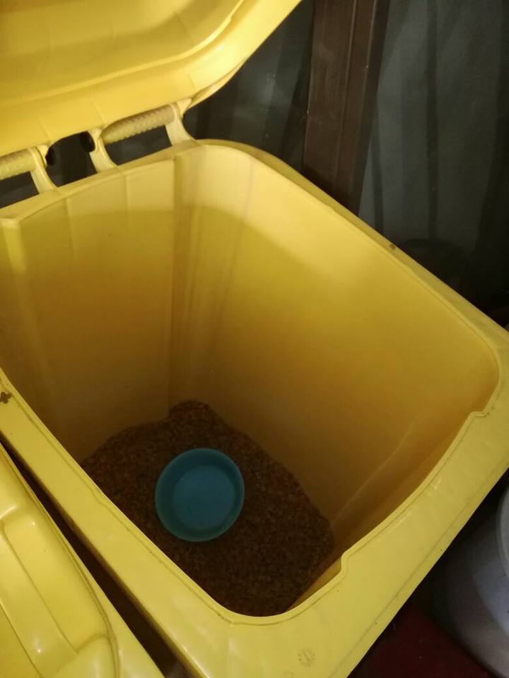 Highveld Ridge SPCA’s animal food will be finished by weekend | Ridge Times