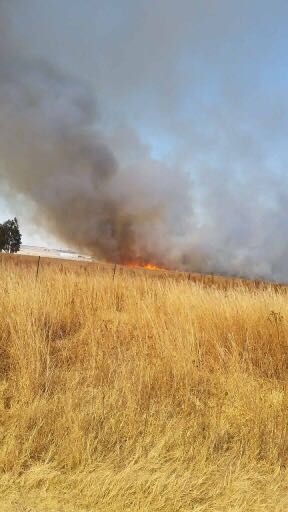Large veld fire raging between Secunda Sasol operations and Nelson ...