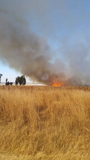 Large veld fire raging between Secunda Sasol operations and Nelson ...