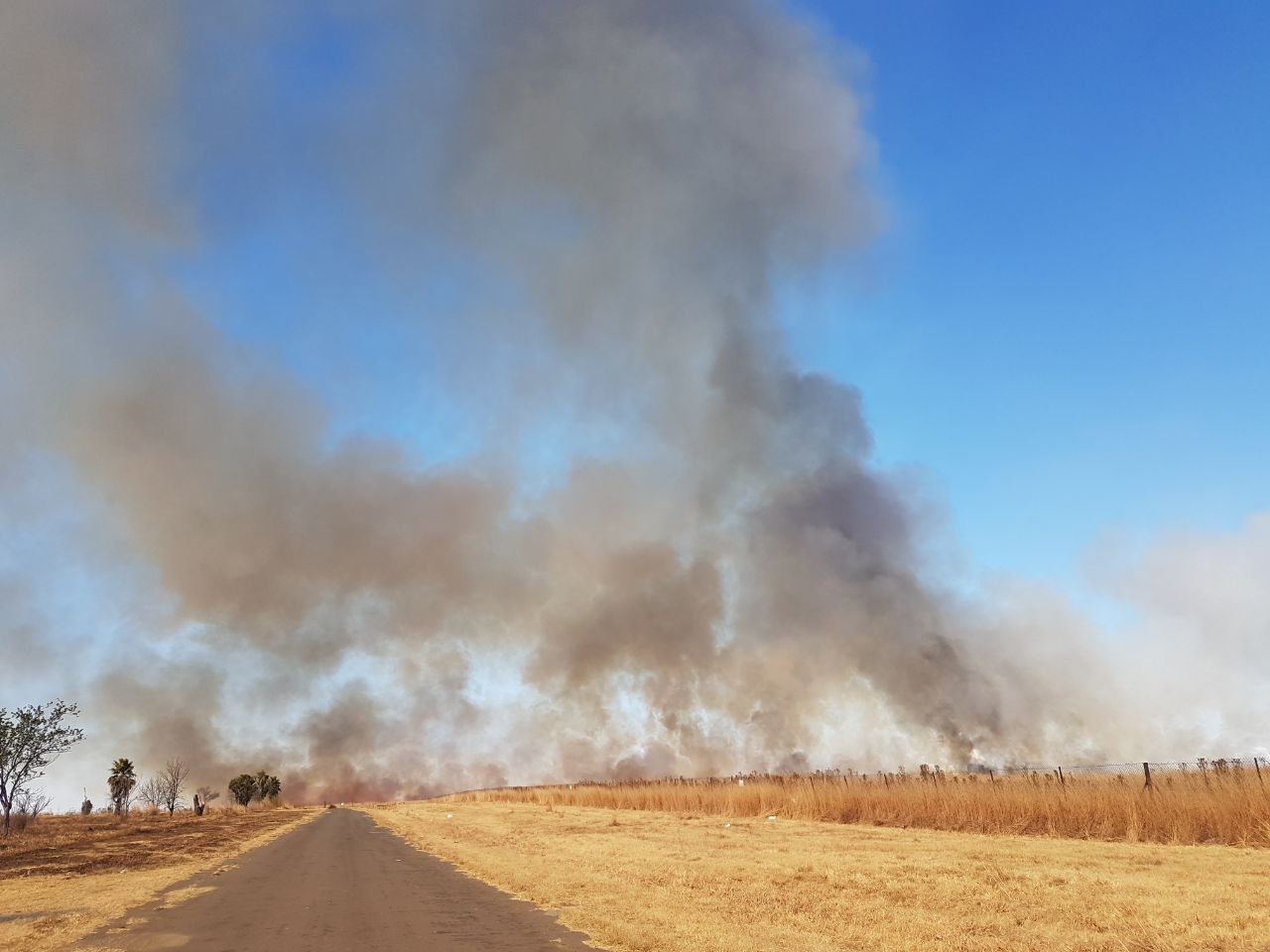 Large veld fire raging between Secunda Sasol operations and Nelson ...