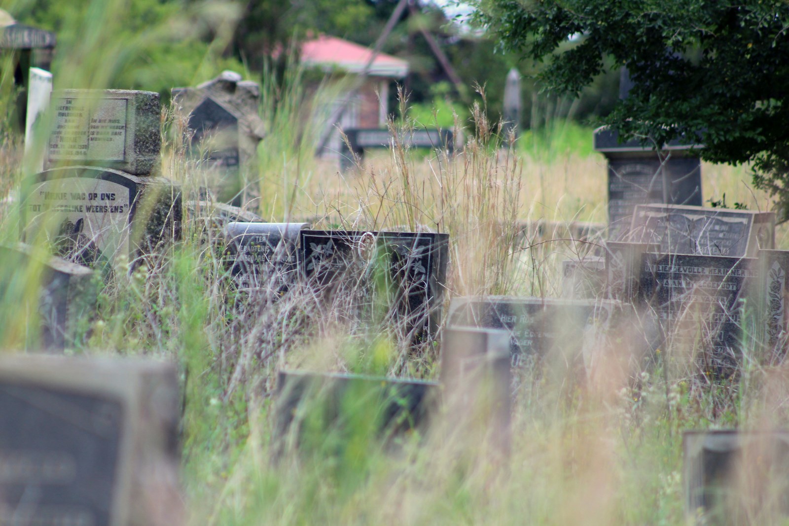 Begraafplaas op Standerton skoongemaak vir vermoorde boer se begrafnis