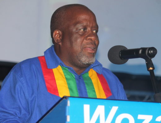 Jane Sithole now heads Mpumalanga DA leadership | Ridge Times