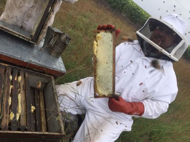 Kinross se byeboer trek gereeld met sy bye na waar nektar is | Ridge Times