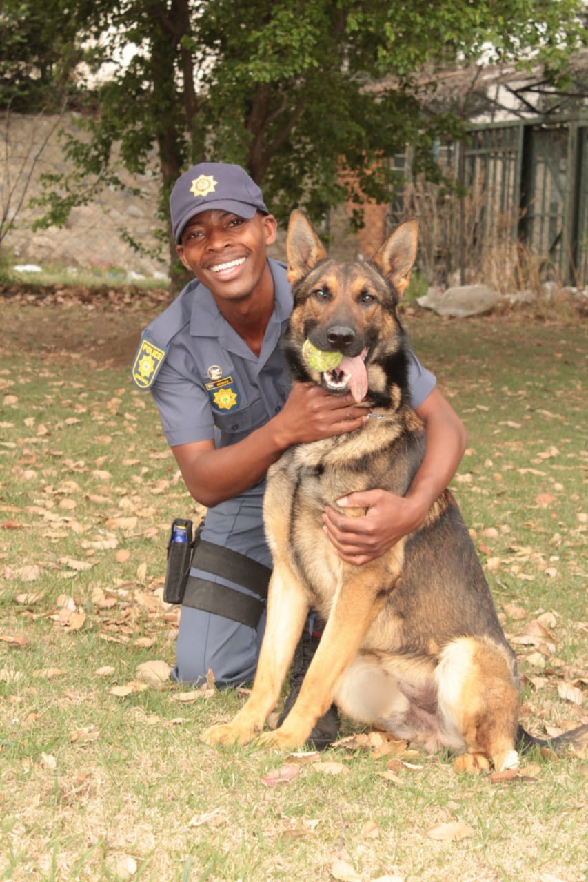 Secunda K9 Unit expands with more dogs trained at finding narcotics ...