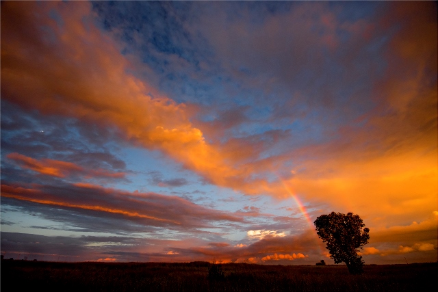 Fotograwe skryf beste foto's in | Ridge Times