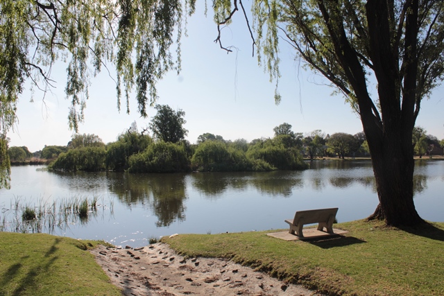 Bird life is dwindling at Secunda Duck Pond | Ridge Times