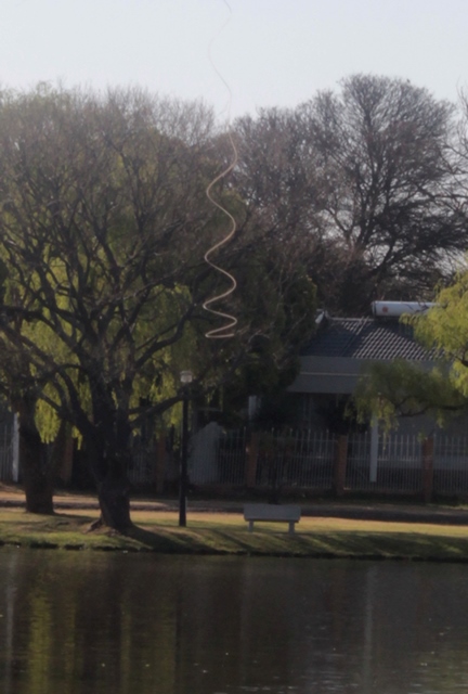 Bird life is dwindling at Secunda Duck Pond | Ridge Times