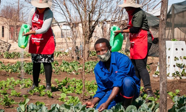 Amos makes a difference in his community with his vegetable garden ...
