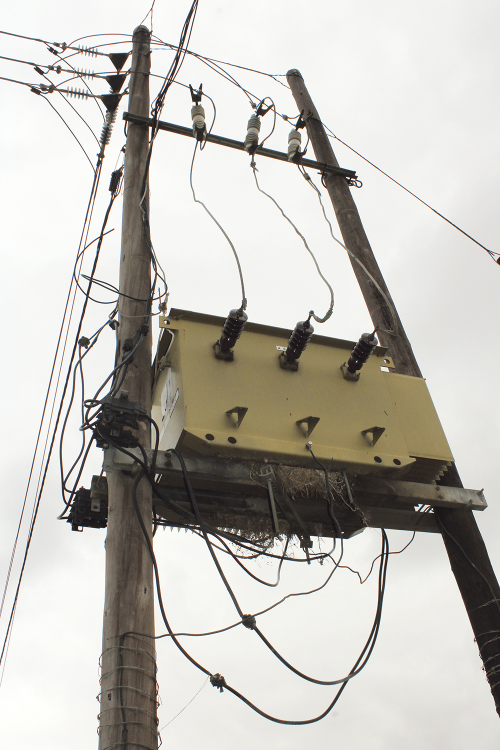 Enpower Machite sheds light on Bethal's power situation | Ridge Times