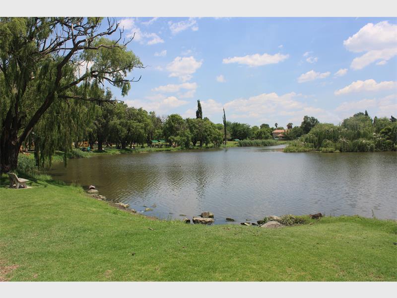 State of Secunda Duck Pond raises concern | Ridge Times
