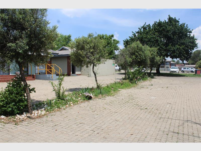 State of Secunda Duck Pond raises concern | Ridge Times