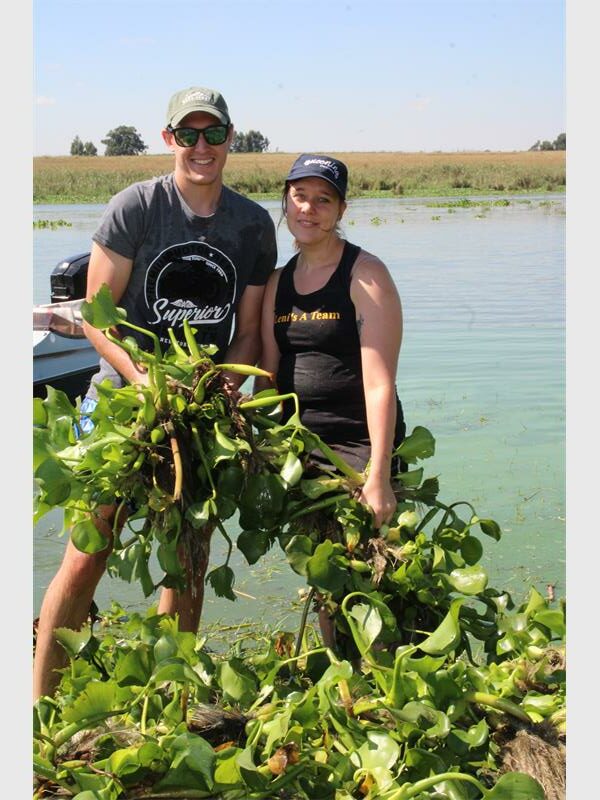 Community rallies to fight hyacinth in the Bronkhorstspruit Dam | Ridge ...