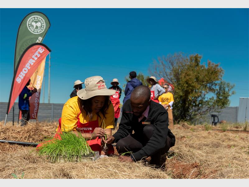 McCain and Shoprite partnership supports vulnerable communities with ...