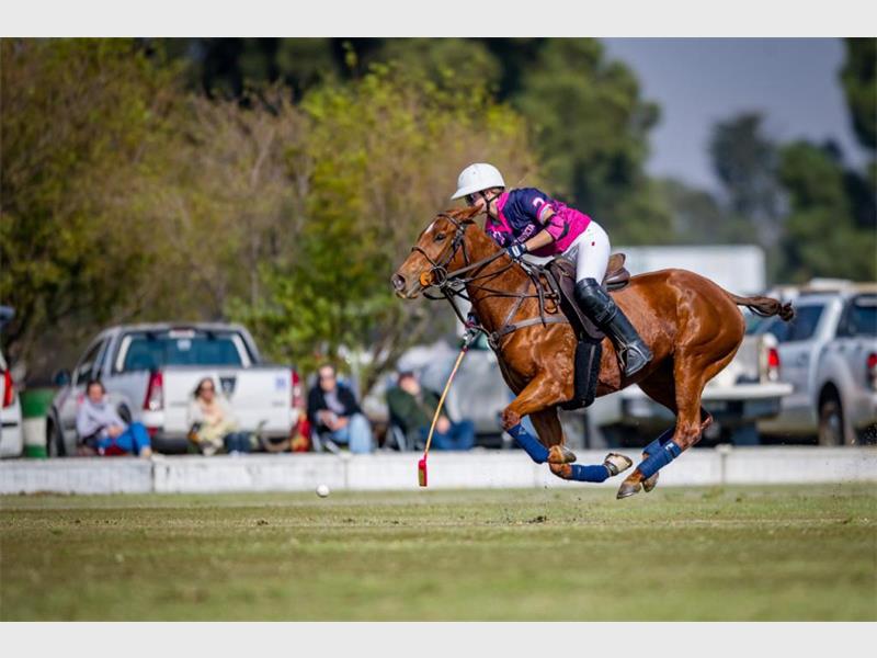 South African Polo Championship takes place in Bapsfontein | Ridge Times