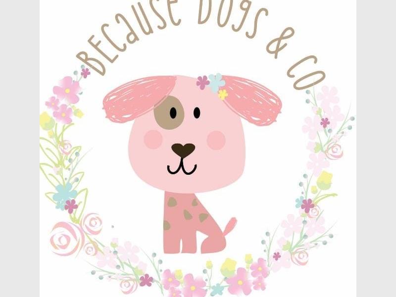 Walk the walk at the Secunda Duck Pond with Because Dogs and Co | Ridge ...