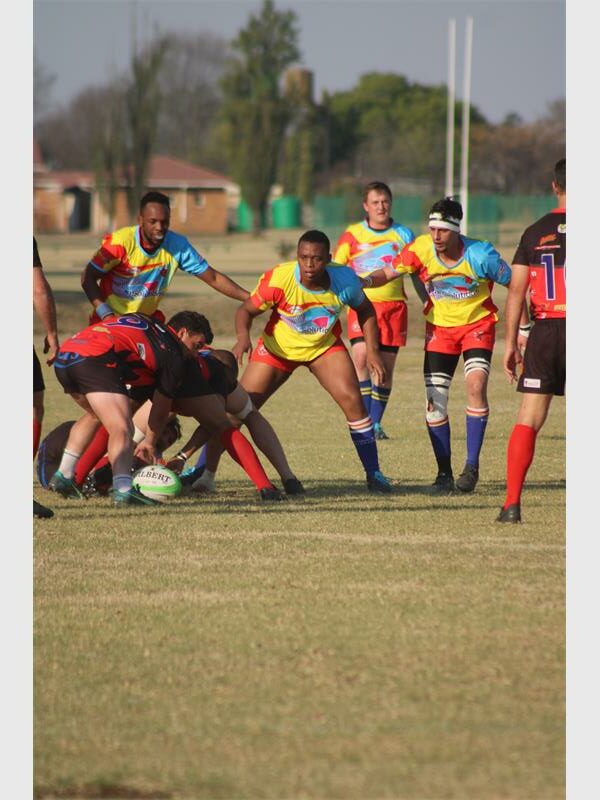 Bethal Buffels beat Marble Hall Rugby Club | Ridge Times