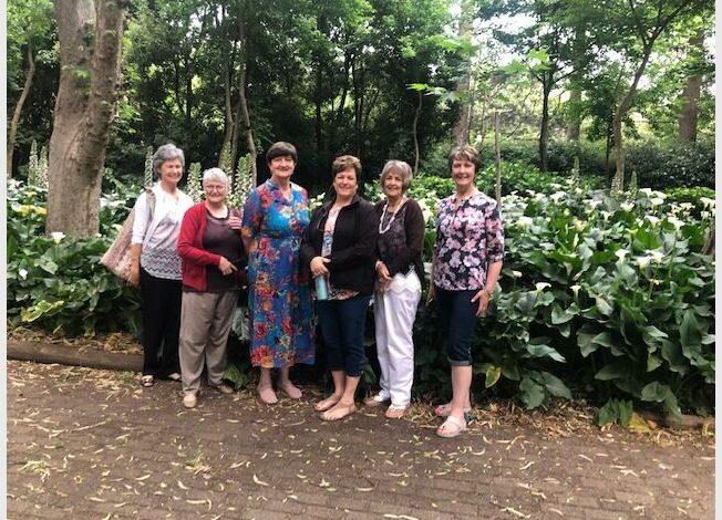 Delmas VLU-tak kuier tussen die bye en proe heuning | Ridge Times