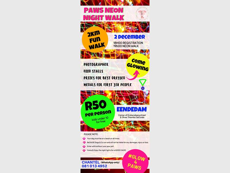 Support Paws Neon Night Walk at Secunda Duck Pond | Ridge Times