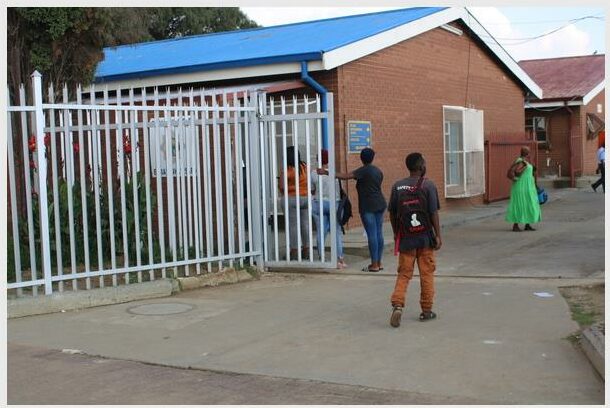 ActionSA calls for the suspension of eMbalenhle cops who turned ...
