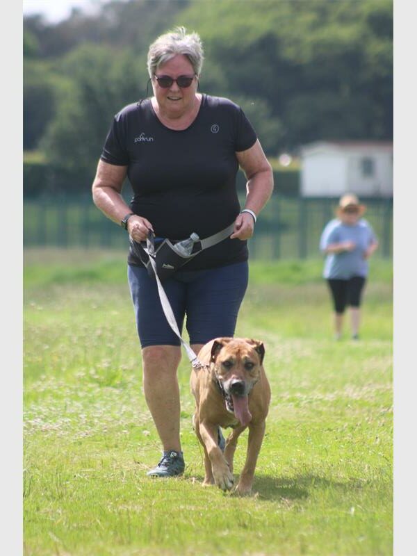 Parkrun continues over the festive season | Ridge Times