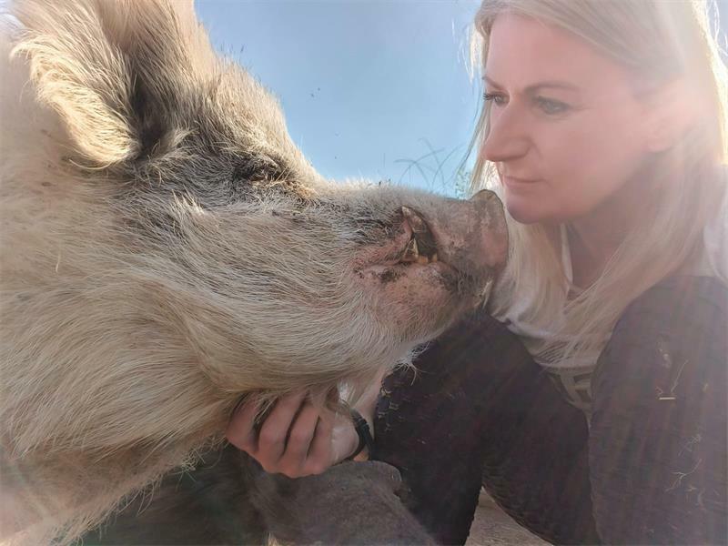 Cullinan’s Pigs ’n Paws is a sanctuary for pigs | Ridge Times