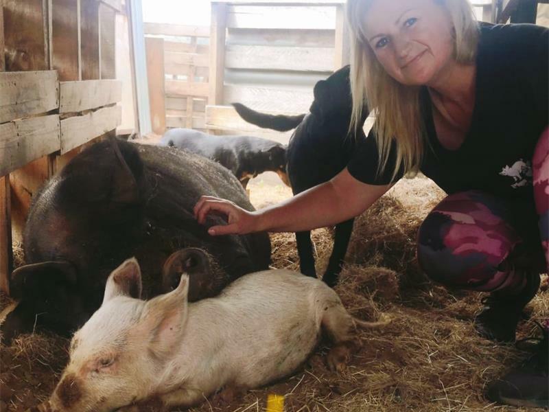 Pigs ’n Paws from Cullinan rescues neglected pigs | Ridge Times