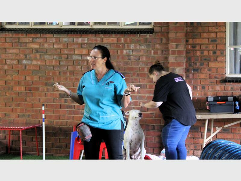 Troeteldier-liefde by Heidi Kleuterskool gedeel | Ridge Times