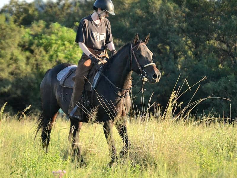 Calista and Zorse’s Canter4Cancer journey is on track | Ridge Times