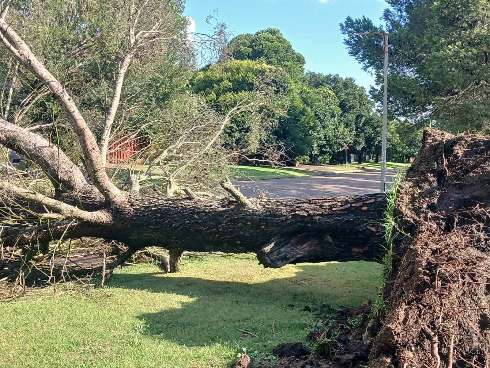 Storm hits Secunda and area | Ridge Times