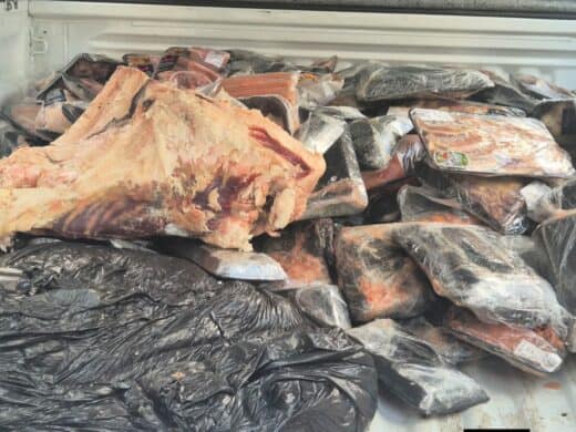Health inspectors shut down butchery in Evander for selling rotten meat ...