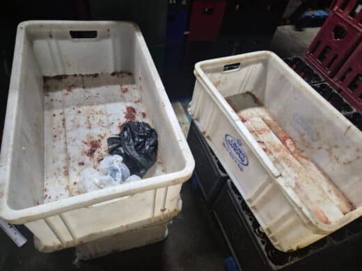 Health inspectors shut down butchery in Evander for selling rotten meat ...